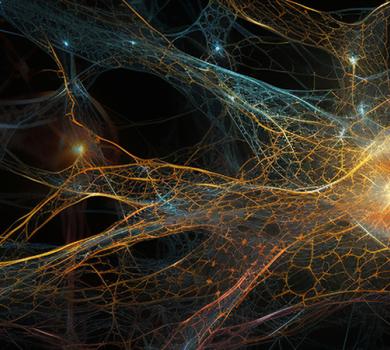 Join Our Mission | Institute for Neuroscience, Neurotechnology, and Society